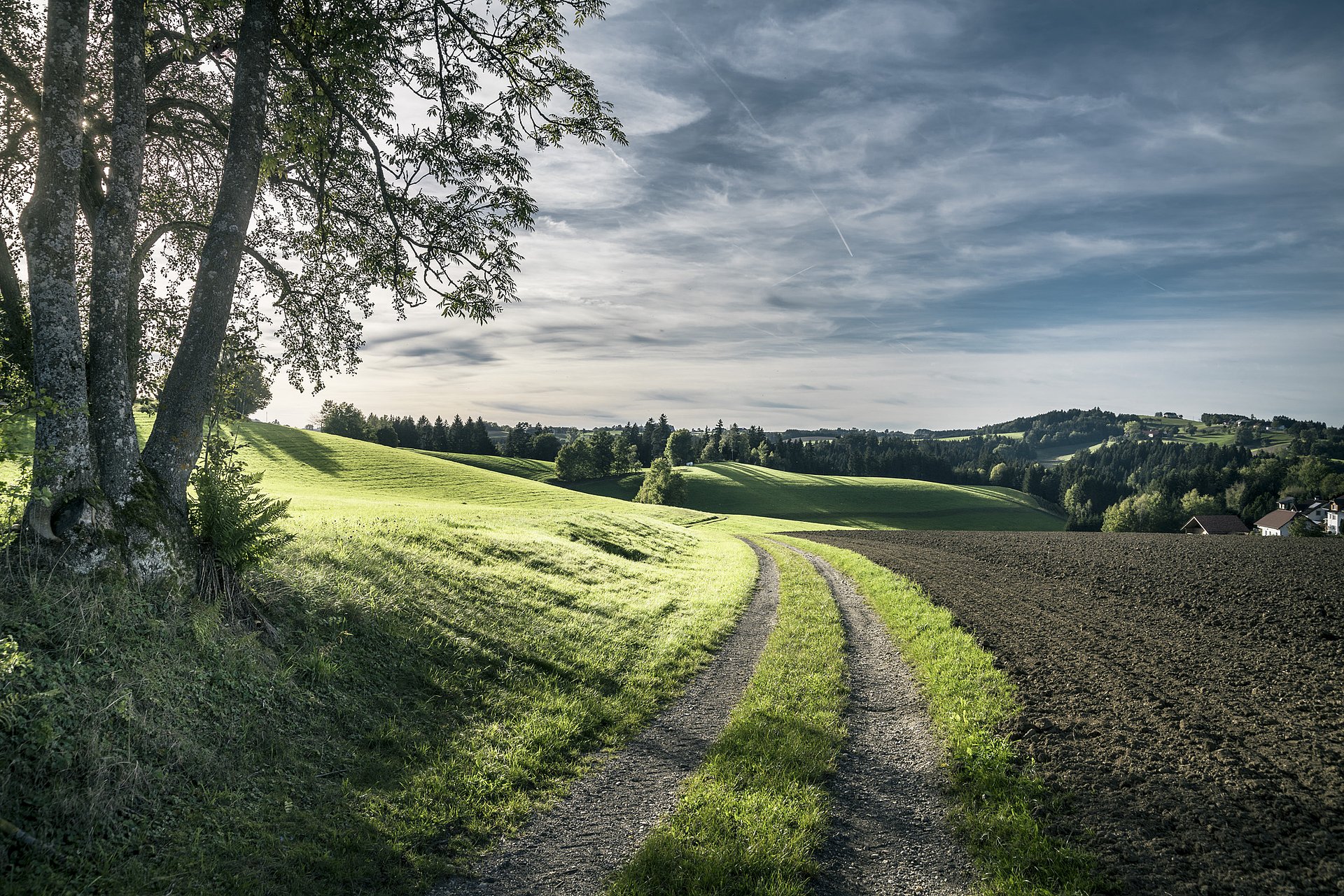 Granitpilgern mit kulinarischen Zwischenstopps