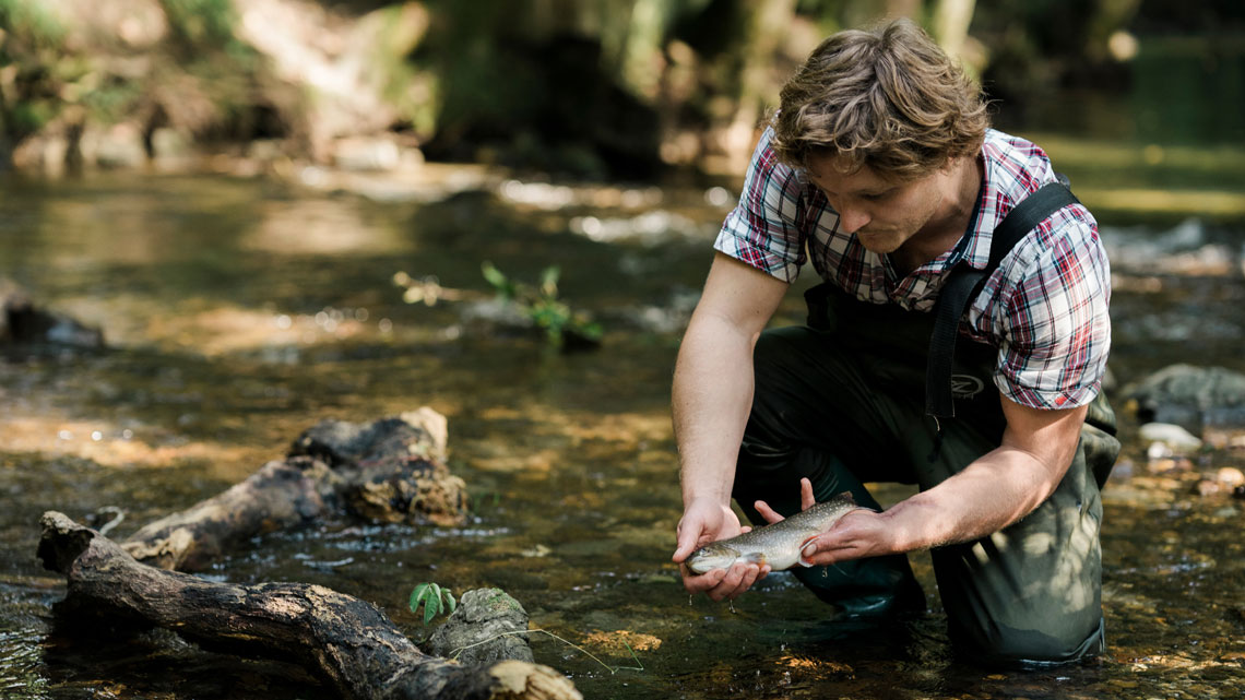 Fischen in Oberösterreich