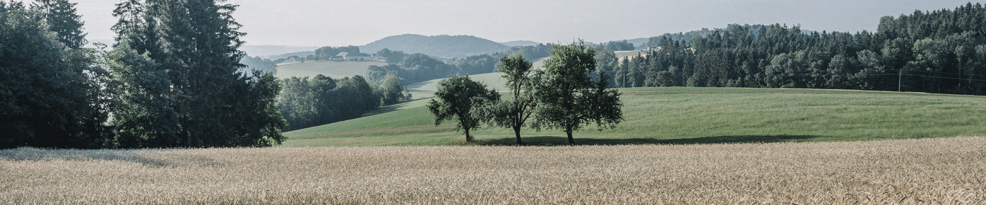 Wiesen und Felder in Oberösterreich